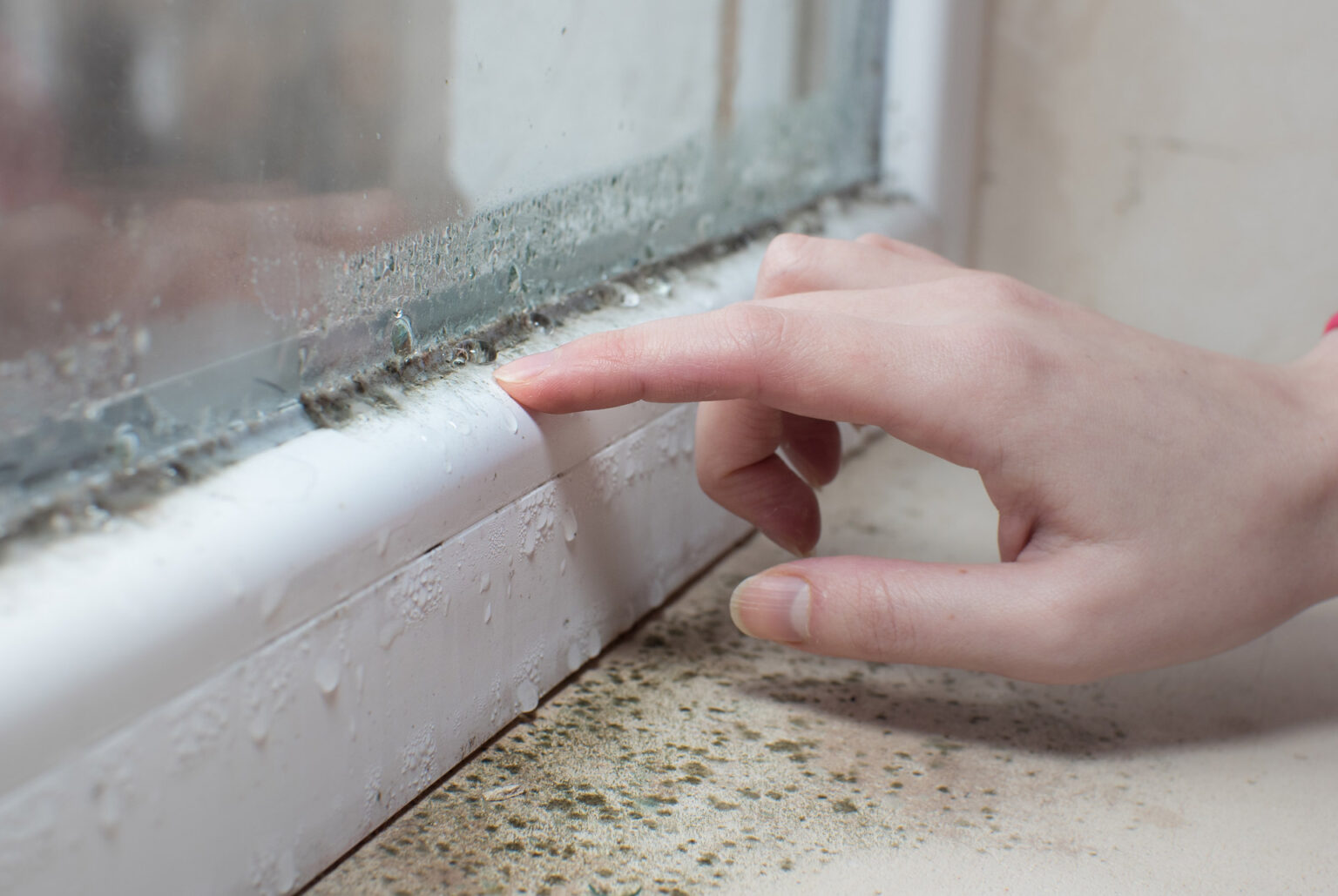 How to Clean and Kill Mould Safely - Mould Stop NZ